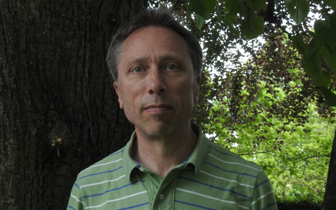 Accueil | Confédération Belge du Bois - www.confederationbois.be